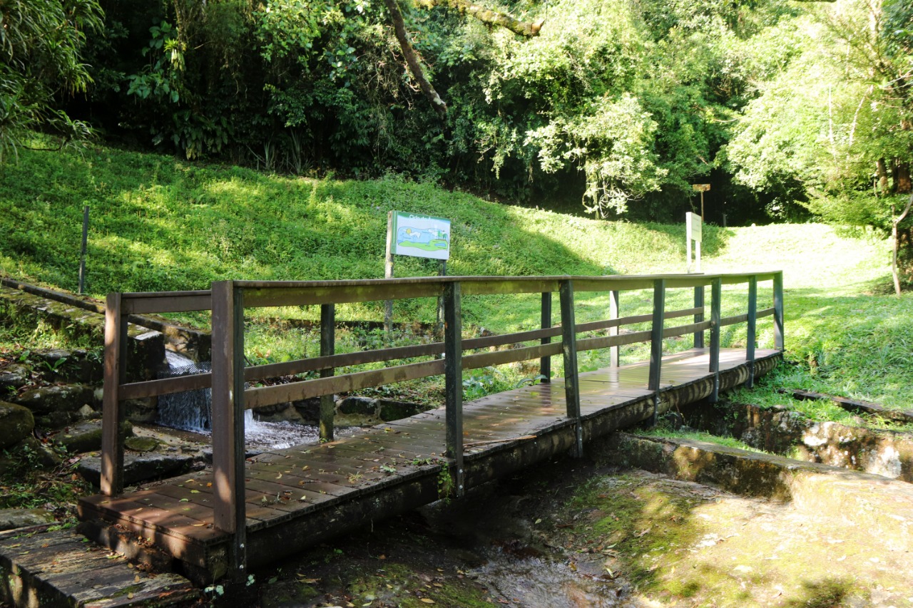Parque Nascentes de Paranapiacaba ganha Bosque da Memória - ABCD Real